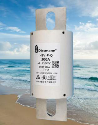 China DC750V Semiconductor High Speed Fuse Use For EV Charger Power for sale