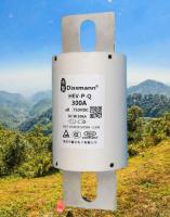 China Energy Storage System Fiber Tube Semiconductor Fuse 750V DC for EV Charger for sale