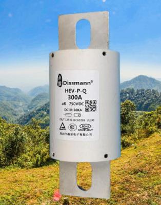 China Energy Storage System Fiber Tube Semiconductor Fuse 750V DC for EV Charger for sale