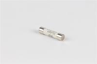 China Telecommunication Ceramic Tube Fuse Fast Acting 100 Amp 250V AC for 5G Equipment for sale