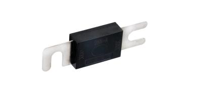 China 300A Micro Car Fuse 32V DC Low Voltage Ceramic Automotive Fuse DNN-A-300 for sale