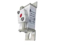 China Energy Storage Car Fuse with Indicator Light 250A Rated Current Fiber Pipe DC750V for sale
