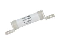 China JASO-D622 High Voltage Automotive Fuse 1000V DC 15A ISO8820 Fiber Pipe Alloy Pins for sale