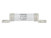 China JASO-D622 High Voltage Automotive Fuse 1000V DC 15A ISO8820 Fiber Pipe Alloy Pins for sale