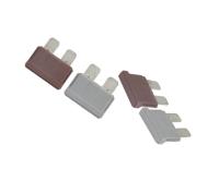 China Ceramic 1 Amp Fast Blow Fuse 58VDC Rated Voltage UL248 Standard Mini Cartridge Fuse for sale