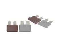 China Ceramic 1 Amp Fast Blow Fuse 58VDC Rated Voltage UL248 Standard Mini Cartridge Fuse for sale