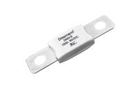 China Mini 150 Amp Cartridge Fuse ISO8820 Standard Low Current 80volt for sale