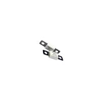 China Ceramic 100 Amp Auto Fuse , 58VDC Low Breaking Capacity Fuse for sale