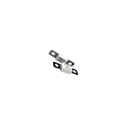 China Ceramic 100 Amp Auto Fuse , 58VDC Low Breaking Capacity Fuse for sale