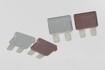 China Ceramic 1 Amp Fast Blow Fuse 58VDC Rated Voltage UL248 Standard Mini Cartridge Fuse for sale