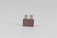 China Automotive Low Voltage Blade Fuse 10 Amp 32V DC Fast Blowing Zinc Alloy Pins for sale