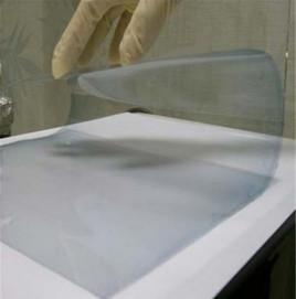 China Conductive Width 520mm Colorless Pet Protective Film 50um for sale