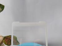 China Rectangle Tempered Silk Screen Printing Glass For Electronic Products for sale