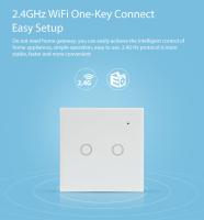China Smart Wifi Wall Touch Switch 2 Gang Alexa Compatible Light Switches for sale