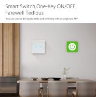 China Smart Wifi Wall Touch Switch 2 Gang Alexa Compatible Light Switches for sale