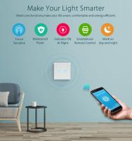 China Smart Wifi Wall Touch Switch 2 Gang Alexa Compatible Light Switches for sale
