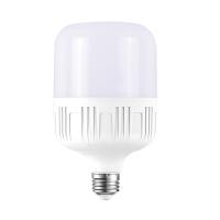 China T-Shape LED Bulb 5W to 50W E27 B22 Holder AC175-265V 6500K 80LM/W for sale