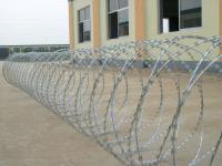China Galvanized Pvc Coated Barbed Tape Concertina Wire Stainless Steel Cbt-60 Cbt-65 for sale