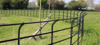 China High Quality 50x200mm Screen Pvc Coated Professional V Folds 3d Welded Curved Wire Mesh Metal Panel Garden Fence for sale