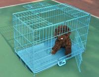 China Breathable Steel Dog Cage Accept OEM ODM Welcome Details Images for sale
