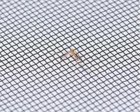 China Factory Cheap Reinforcement Security Fly Screen Mesh for Windows for sale