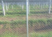 China Galvanized Chain Link Fence Fabric Pvc Coated Frame for sale