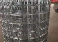 China Electro Hot Dipped Galvanized Welded Wire Mesh Roll 3/8 Inch 3/4 X 3/4 Inch for sale