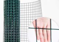 China 2x2 Galvanized Welded Wire Mesh Pvc Coated Stainless Steel for sale