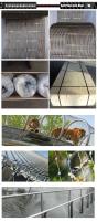 China Stainless Steel Wire Rope Mesh 100x100mm For Garden for sale