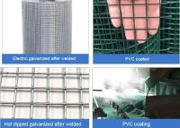 China 1/4 Inch 1/2inch Stainless Steel Welded Iron Wire Mesh Black for sale