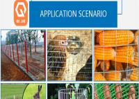 China 2X2 Openning Electro Galvanized Welded Wire Mesh Grid for sale