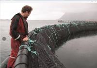 China 2.5mm-3mm Polyester Wire Aquaculture Net with 10-15 Year Service Life for Offshore Fishing and Marine Farming for sale