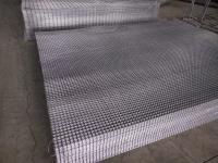 China Sus 2x2 Welded Wire Mesh Electro Or Hot Dipped Galvanized for sale