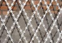 China BTO-18 Concertina Razor Wire Coil , Galvanized Razor Barbed Wire for sale