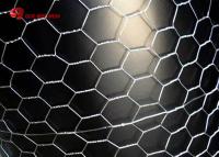 China Pvc Coated Wire Farm 1.0mm Hexagonal Poultry Netting For Animal Zoo Fence for sale