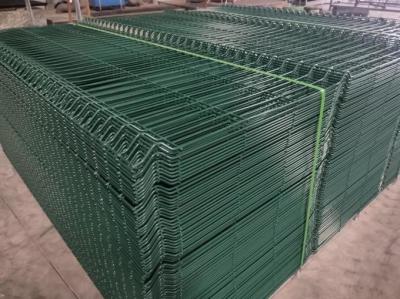 China PVC Coated 50x200mm 3D Curved Welded Wire Mesh Fence Panel - 2430mm Height with 5.0mm Wire Diameter for sale