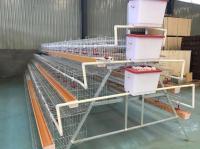 China Farm Battery 2.5mm Egg Chicken Cage A Type Breeding for sale