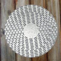 China 10 Inch Galvanized Anti Split Plate Truss Nail - 1mm/1.2mm Thickness with 13.5mm Spikes for Timber Protection for sale