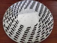 China 10 Inch Galvanized Anti Split Plate Truss Nail - 1mm/1.2mm Thickness with 13.5mm Spikes for Timber Protection for sale