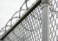 China Low Price Concertina Hot Dipped Galvanized Razor Barbed Wire for sale