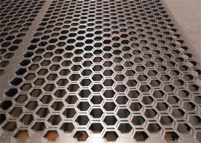 China Duplex Quality Stainless Steel Hexagonal Perforated Metal Plate Aquaculture And Saltwater for sale