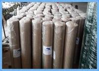 China 1/2 Inch BWG21 Hot-Dipped Galvanized Welded Wire Mesh - 12.7mm Square Openings, 30m Roll Length for sale