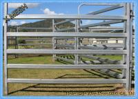 China Hot Galvanized Horse Wire Mesh Fence Panels - 5ft & 6ft Heights with 1 5/8