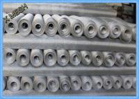 China 18x14 Mesh Galvanized Insect Screen 0.21mm Wire Diameter for Window and Door Protection for sale