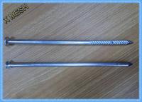 China Q195 Galvanized Iron Wire Nails 6mm x 100mm Size - Electric Galvanized Surface Treatment with 800 Tons Monthly Capacity for sale