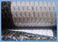 China Galvanized Hexagonal Chicken Wire Mesh 0.9 x 30 Meter Roll with Anti-Oxidation Coating for Poultry Fencing for sale