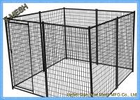 China Powder Coated Welded Wire Mesh Dog Cage - 7 Sizes 51-137cm with Rust-Resistant Finish for sale