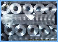 China Electro Galvanized Welded Wire Mesh Panels 2mm Gauge 25mm X  25mm Mesh for sale