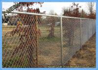 China Galvanized Chain Link Fence Privacy Fabric  / Mesh Fabric High Carbon Steel Wire for sale