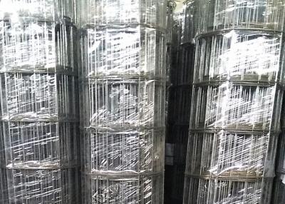 China 3mm Wire Diameter 15cm Openning Black Welded Wire Mesh for South American Market for sale